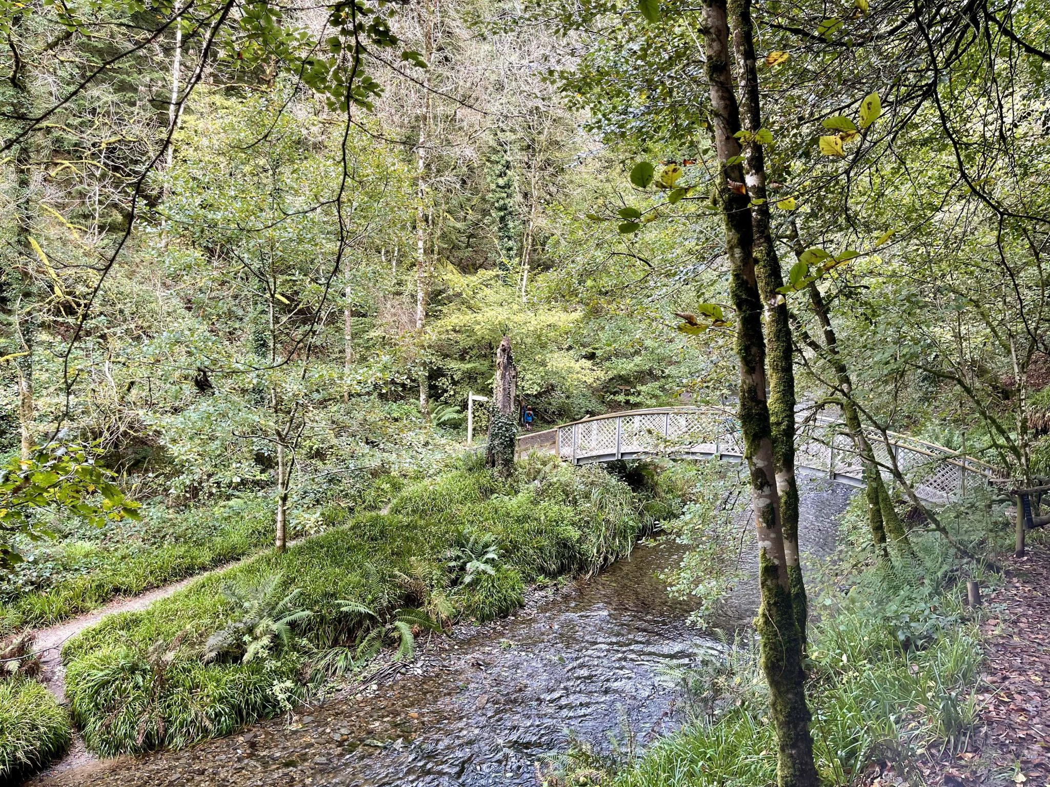 Willow Bay Country Park Top 10 things to do when visiting